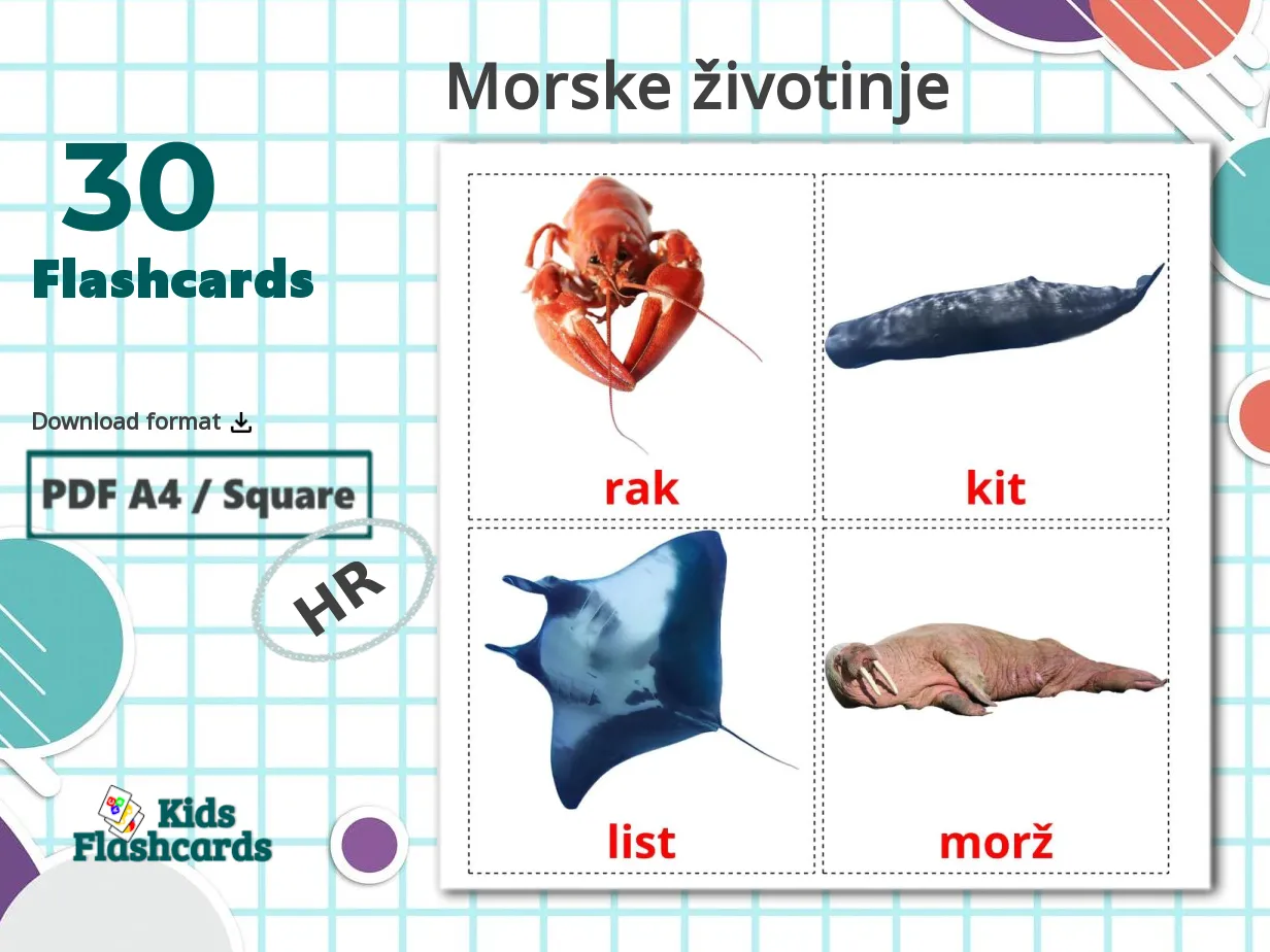 30 Printable Sea animals Flashcards in Croatian (Free PDF)