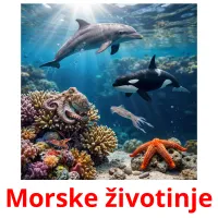 30 Cartes de Vocabulaire pour Enfants GRATUITES Les Animaux Marins à ...