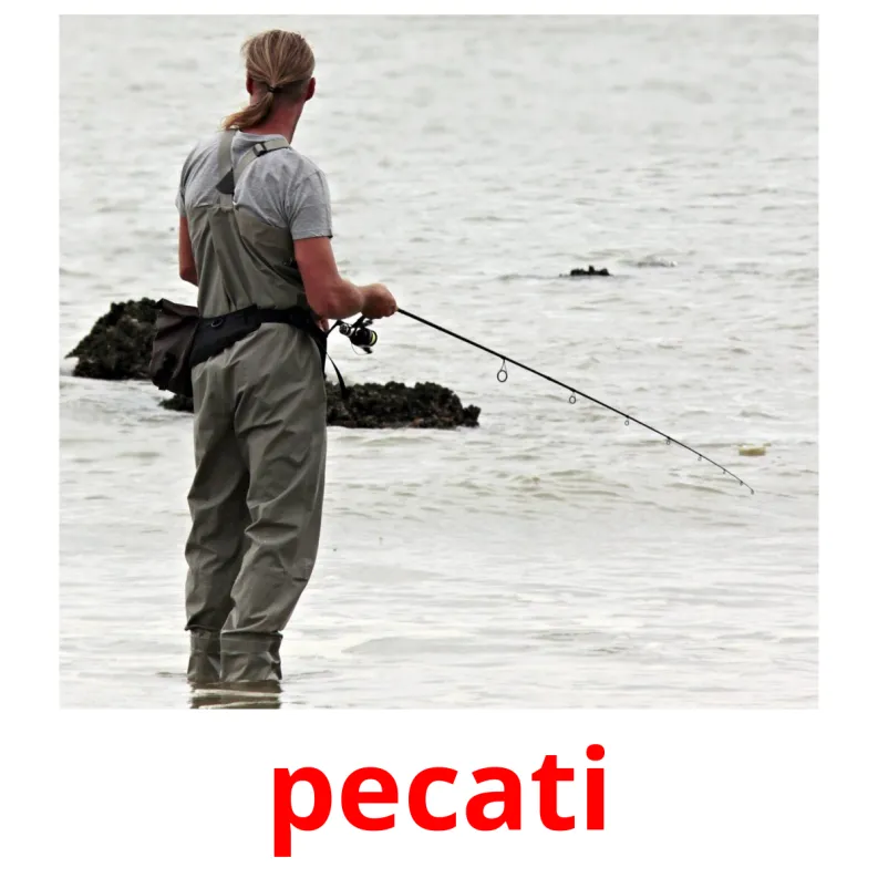 51 FREE Action verbs Flashcards | PDF | Croatian Words