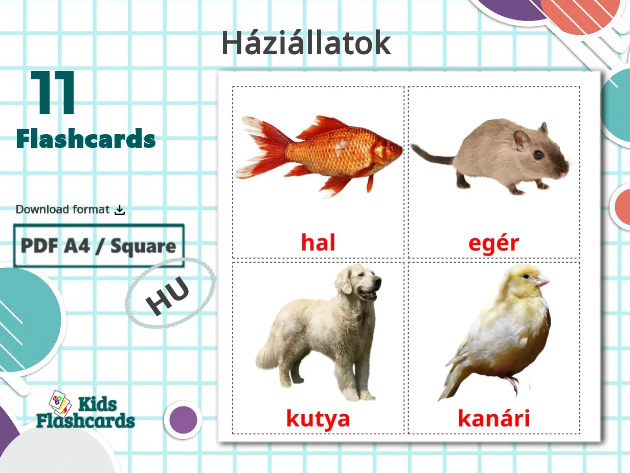 11 Printable Domestic animals Flashcards in Hungarian (Free PDF)
