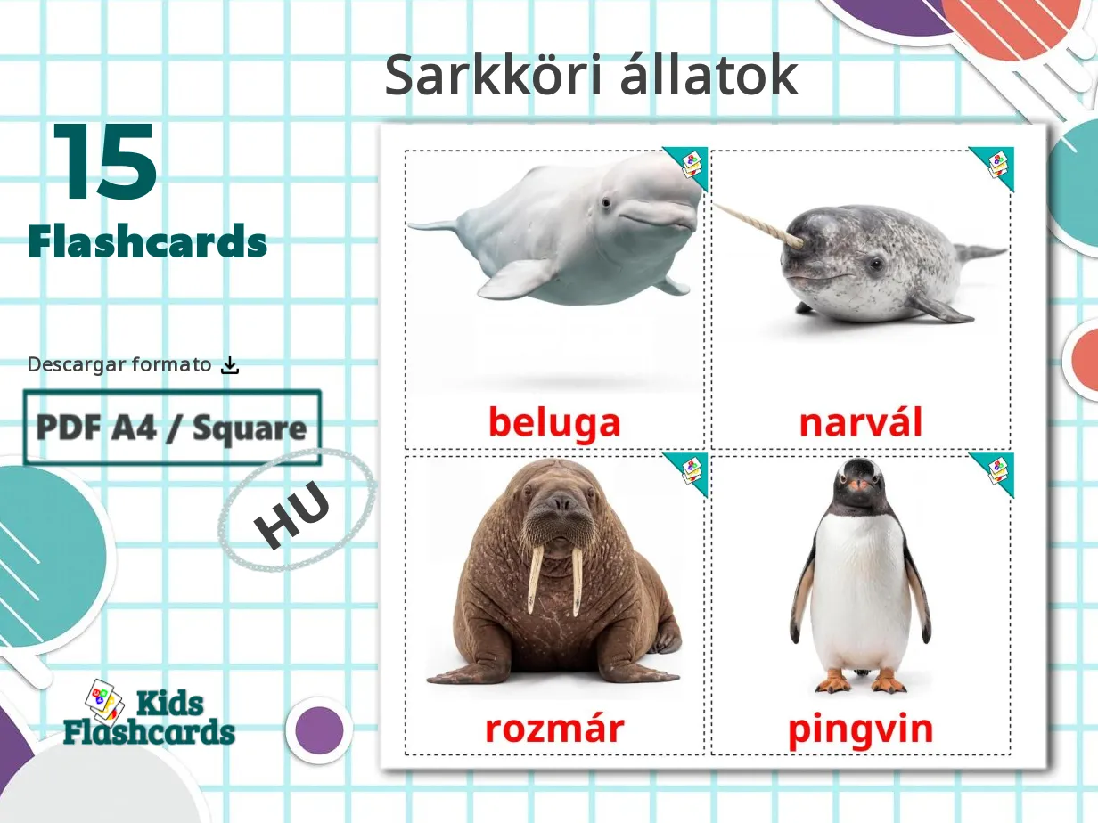 15 Tarjetas de Aprendizaje de Animales del Ártico GRATIS en PDF ...