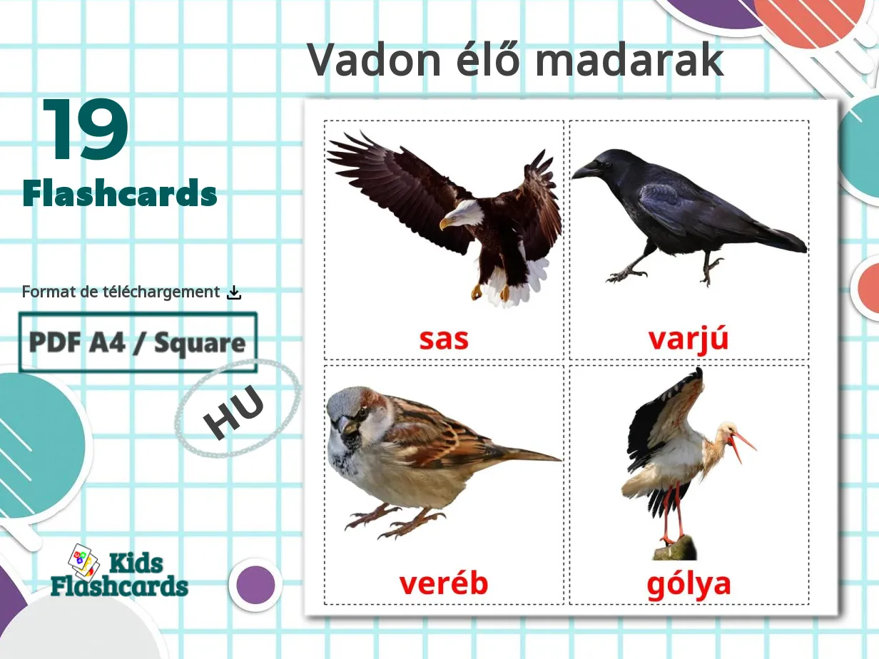 19 Cartes Nomenclature Montessori Les Oiseaux Sauvages GRATUIT à ...