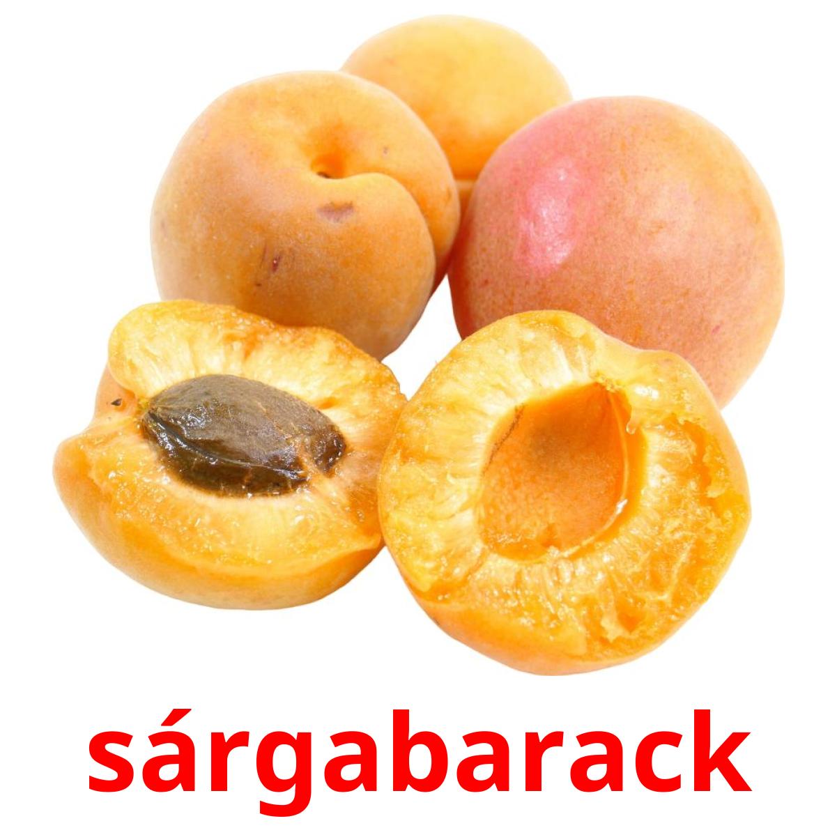 20 FREE Fruits Flashcards | PDF | Hungarian Words