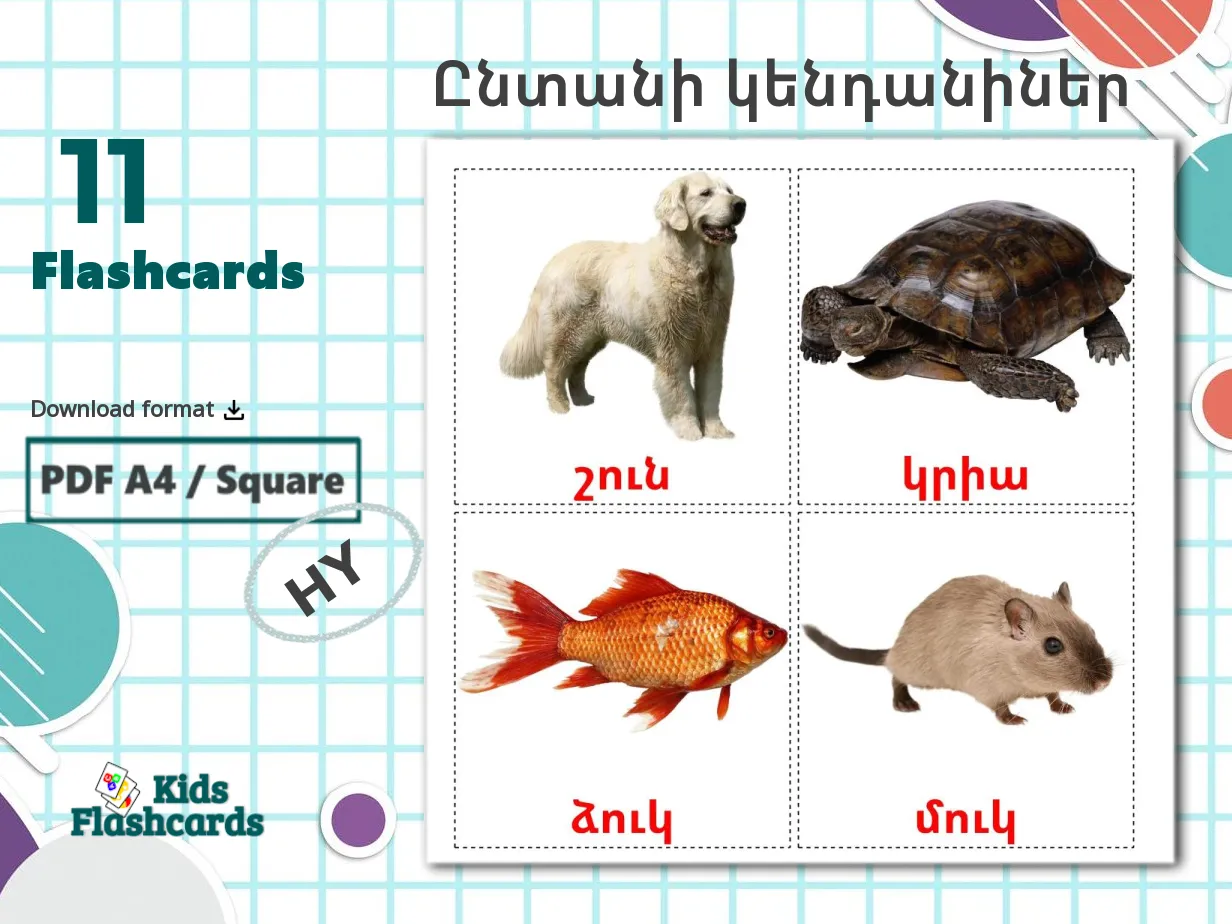 11 Printable Domestic animals Flashcards in Armenian (Free PDF)
