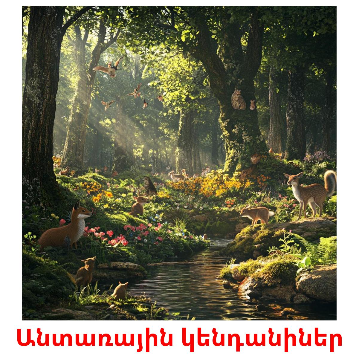 23 Printable Forest animals Flashcards in Armenian (Free PDF)