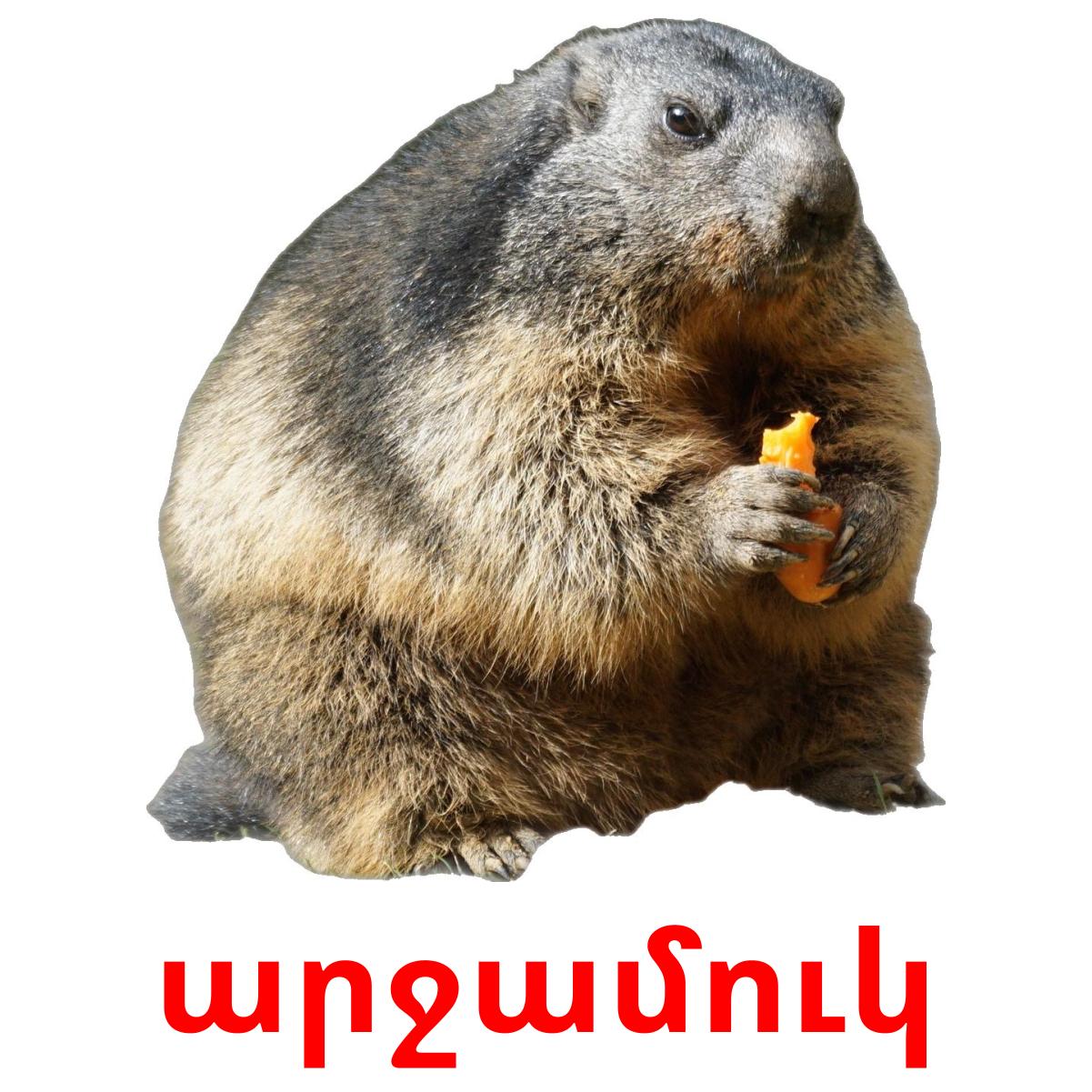 23 Printable Forest animals Flashcards in Armenian (Free PDF)