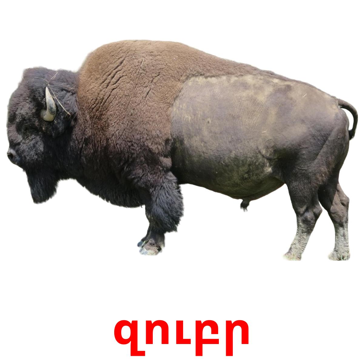 23 Printable Forest animals Flashcards in Armenian (Free PDF)