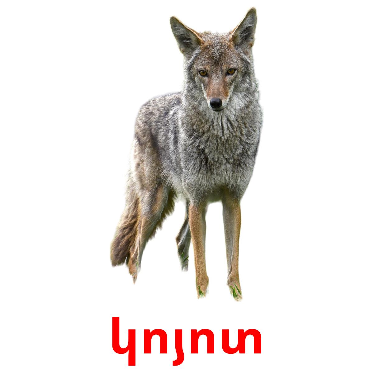 23 Printable Forest animals Flashcards in Armenian (Free PDF)