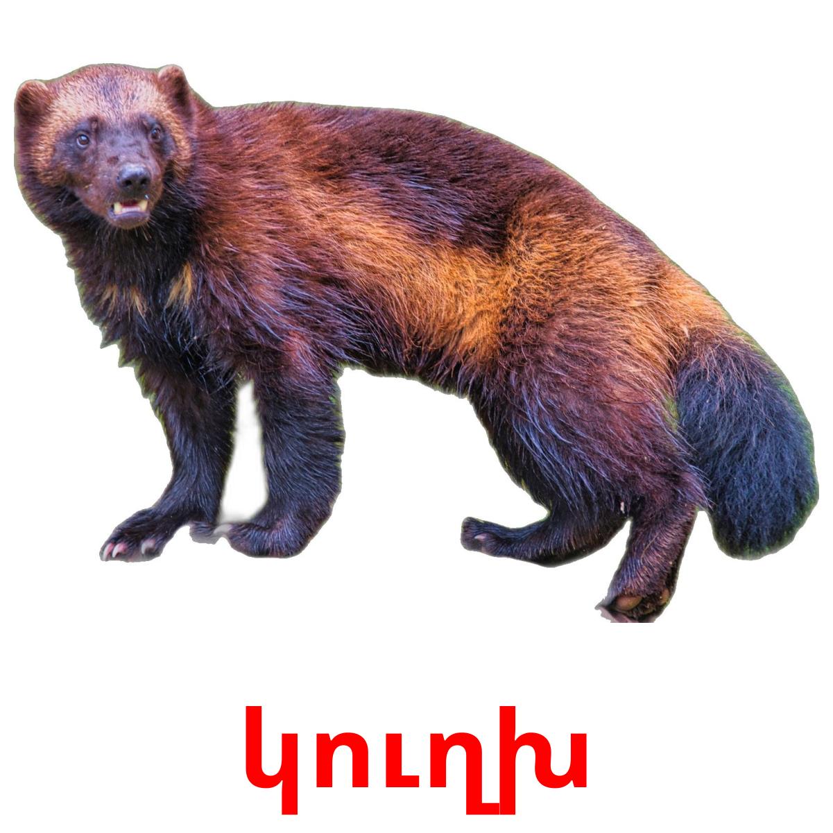 23 Printable Forest animals Flashcards in Armenian (Free PDF)