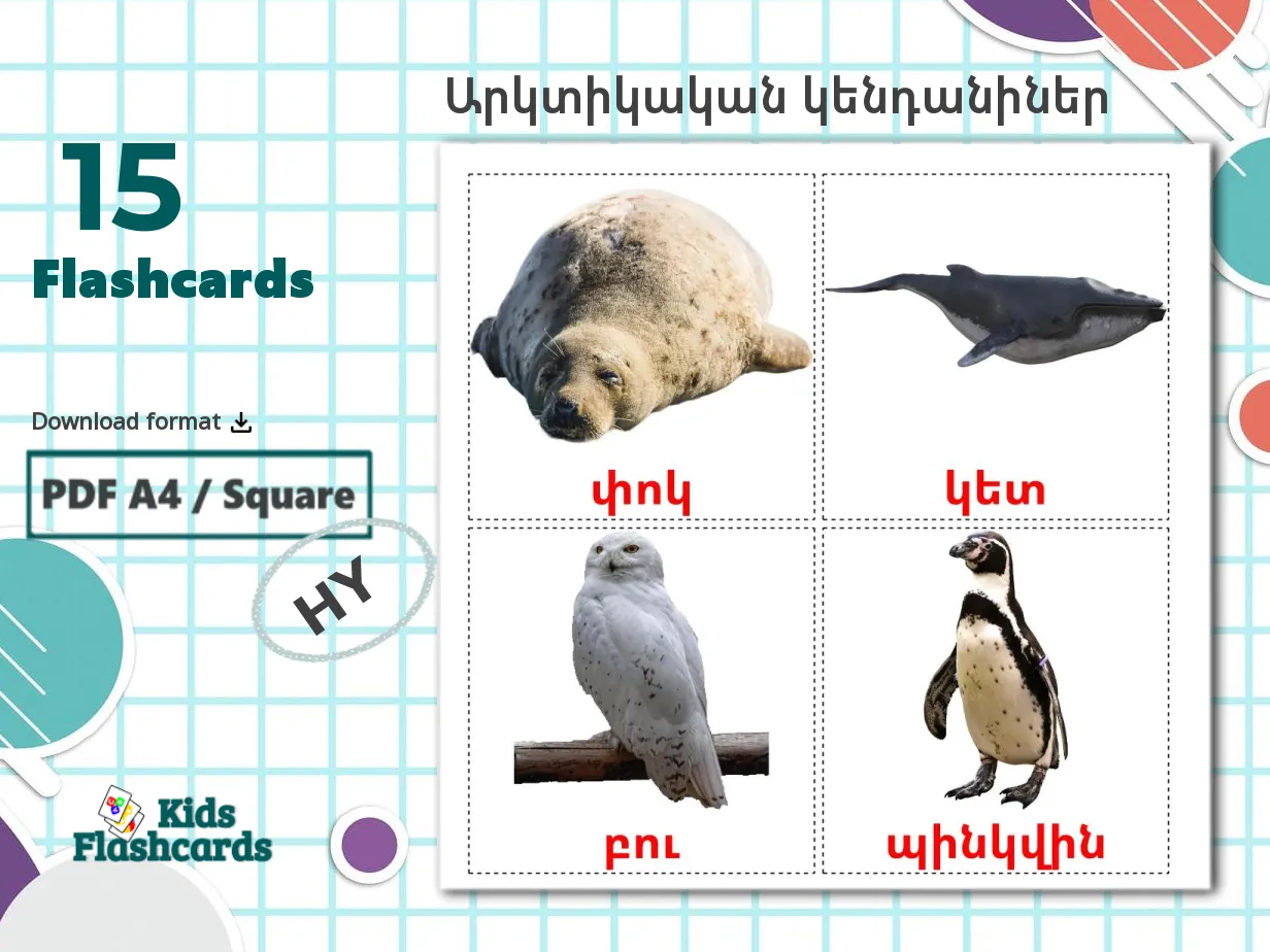 15 FREE Arctic animals Flashcards | PDF | Armenian Words