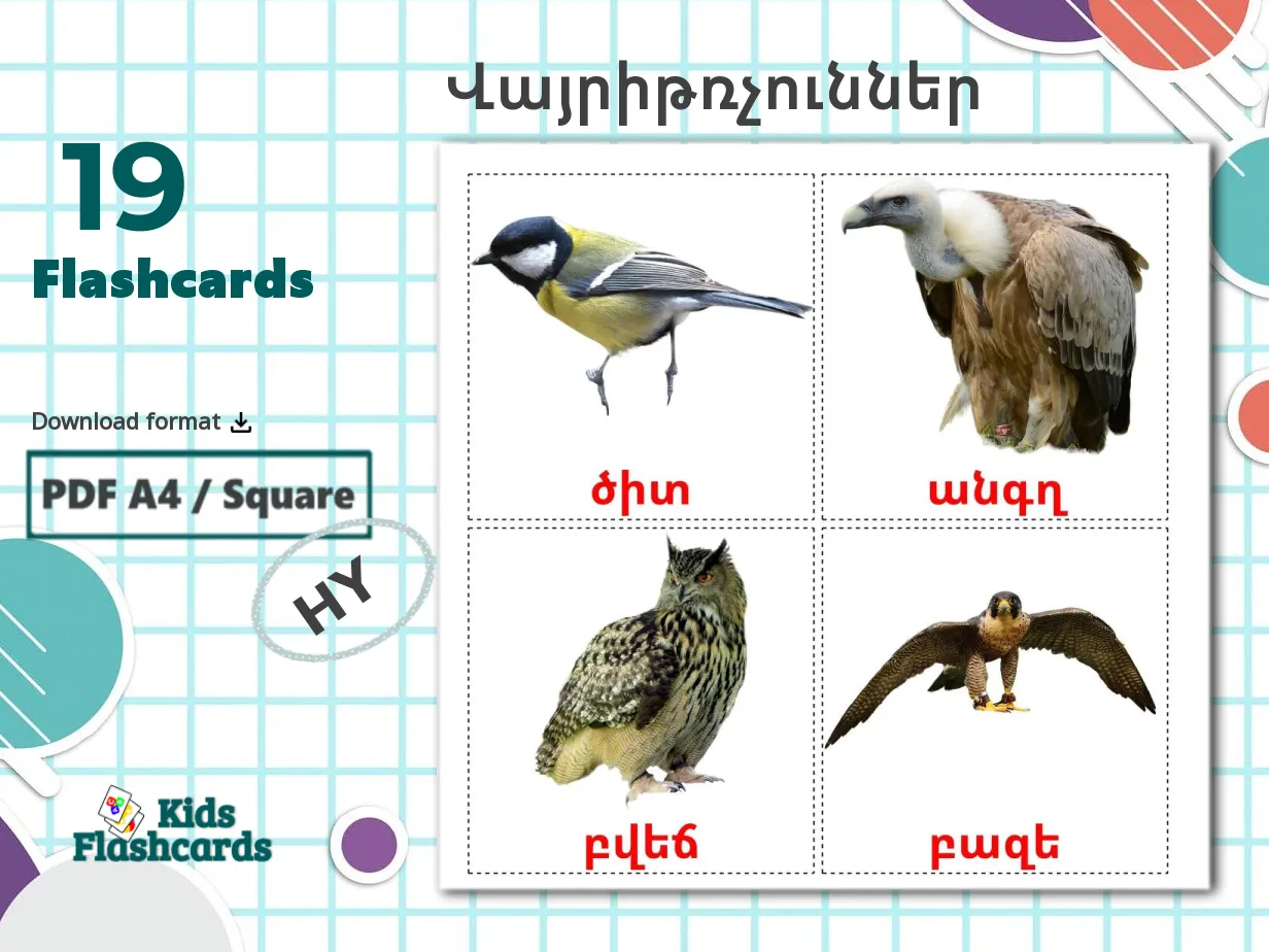 19 FREE Wild birds Flashcards | PDF | Armenian Words