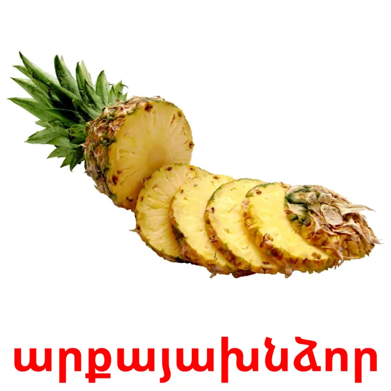 60 FREE Armenian Food Flashcards | PDF