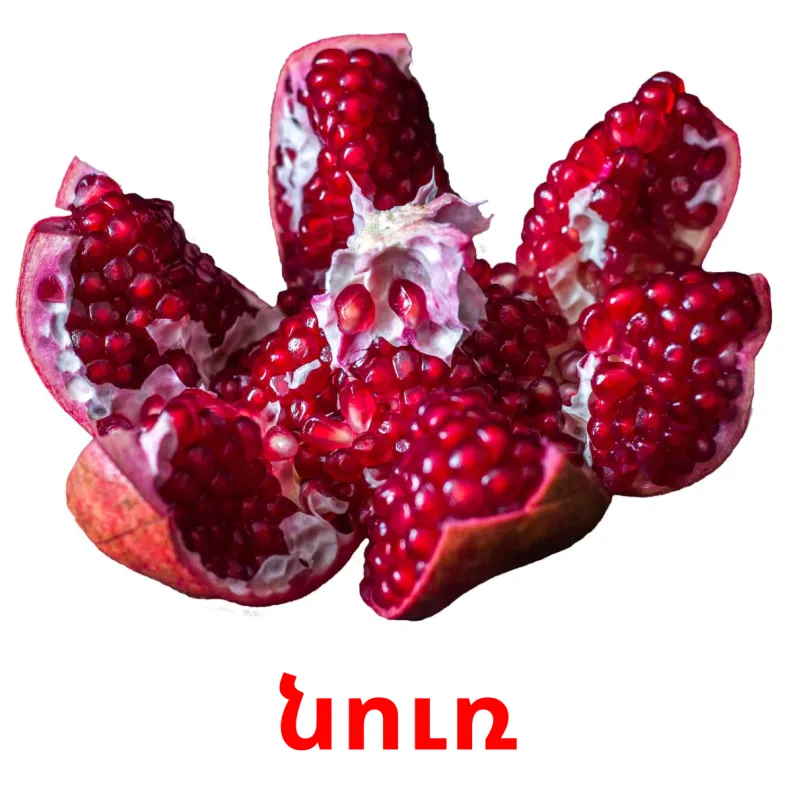 20 FREE Fruits Flashcards | PDF | Armenian Words