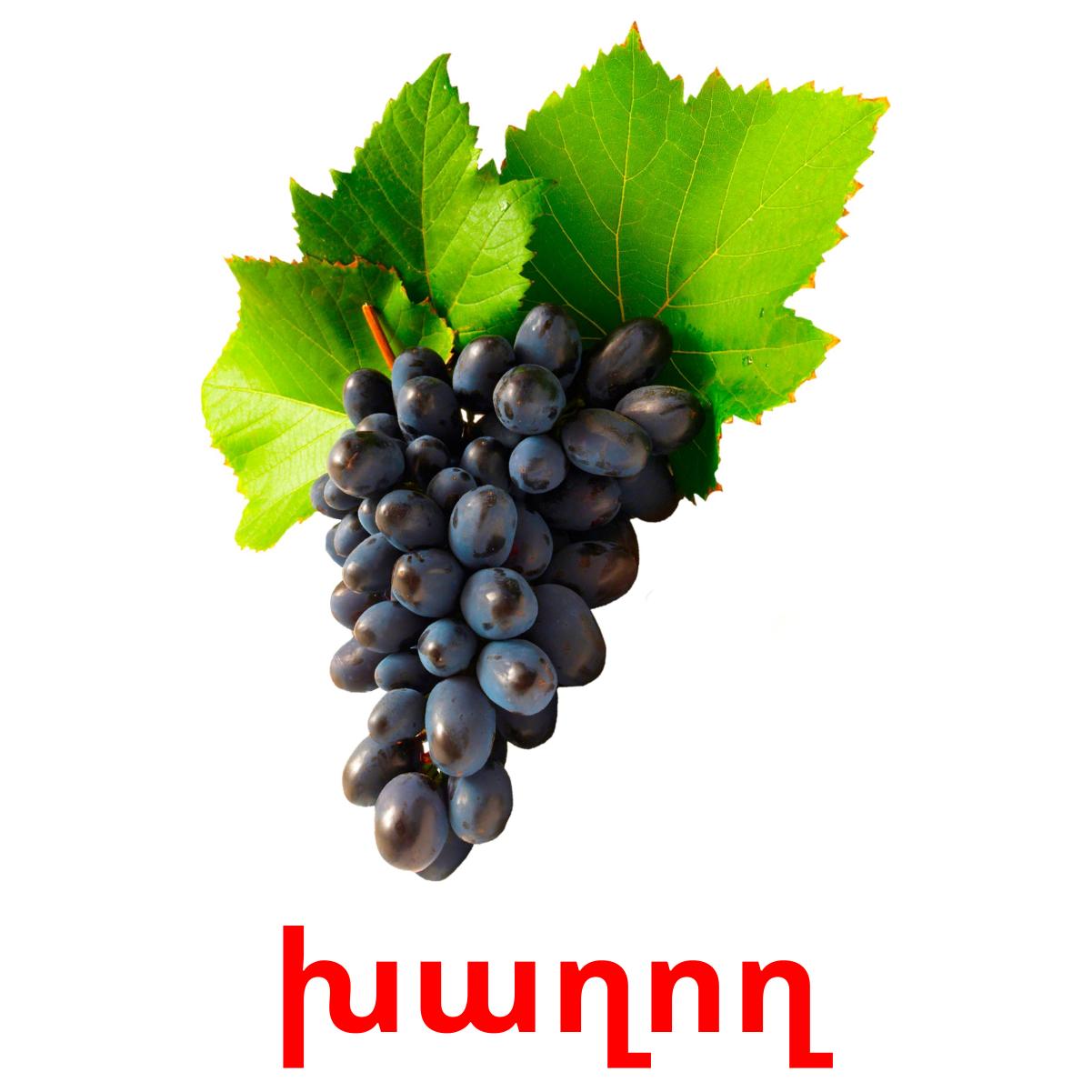 21 Printable Fruits Flashcards in Armenian (Free PDF)