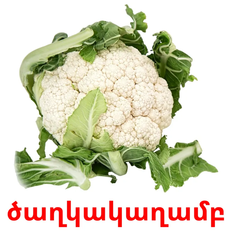 29 FREE Vegetables Flashcards | PDF | Armenian Words