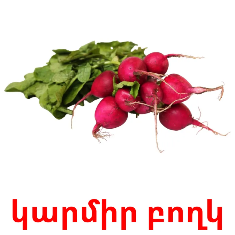 29 FREE Vegetables Flashcards | PDF | Armenian Words