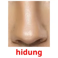 20 FREE Face Flashcards in 4 PDF formats | Indonesian Pictures