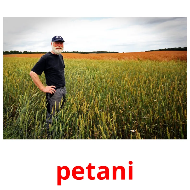 51 FREE Jobs and Occupations Flashcards | PDF | Indonesian Words