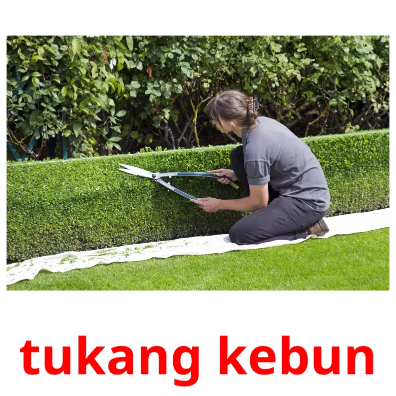51 FREE Jobs and Occupations Flashcards | PDF | Indonesian Words