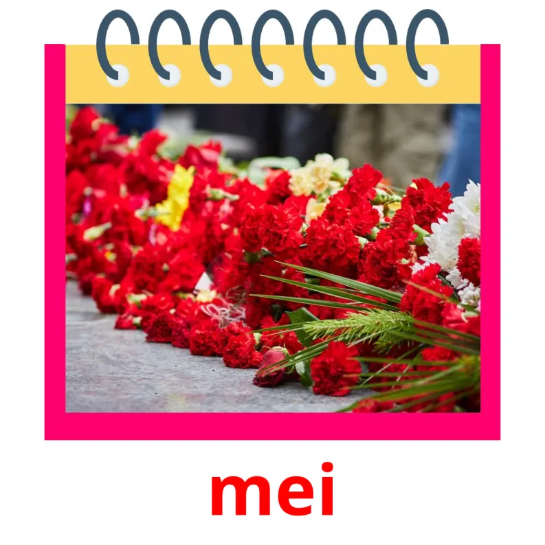 12 FREE Months of the Year Flashcards | PDF | Indonesian Words