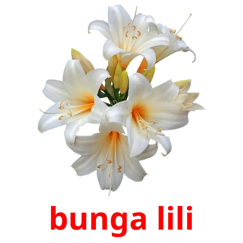 31 FREE Easter Flashcards | PDF | Indonesian Words