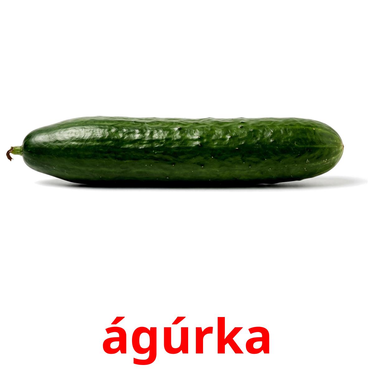 63 FREE Icelandic Food Flashcards | PDF
