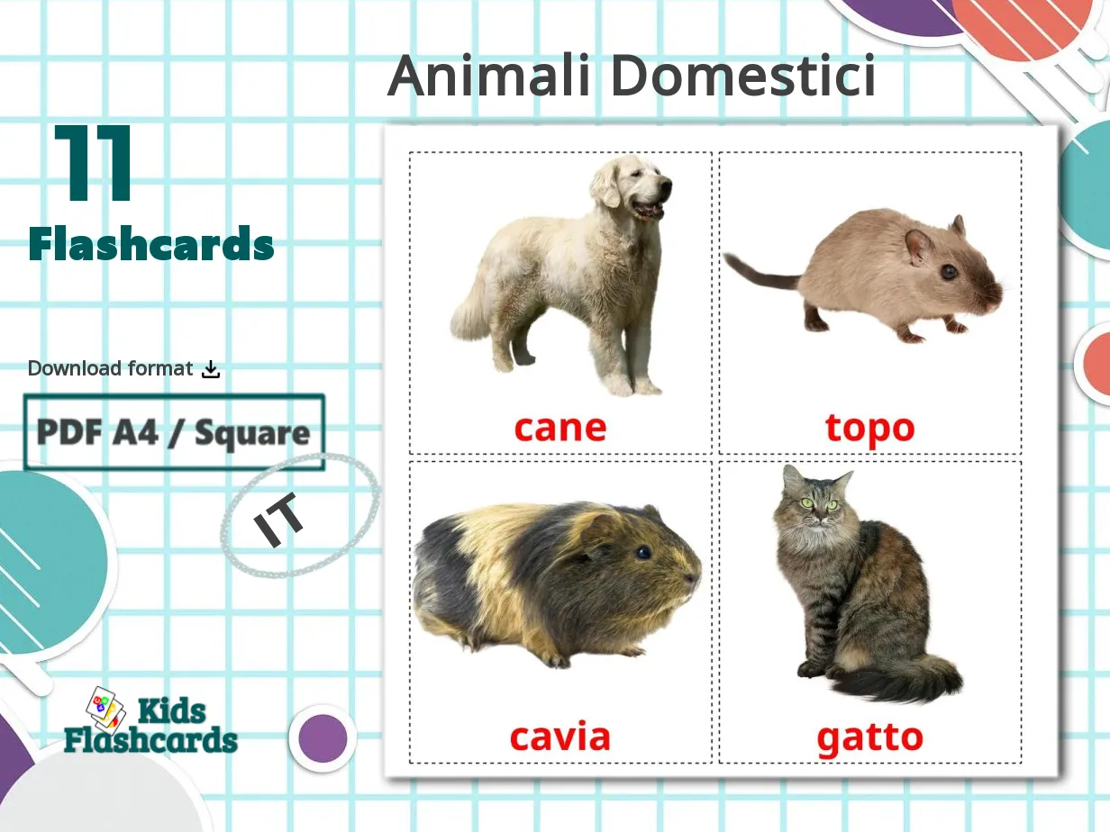 11 Printable Domestic animals Flashcards in Italian (Free PDF)
