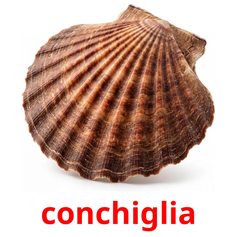 29 FREE Sea animals Flashcards | PDF | Italian Words