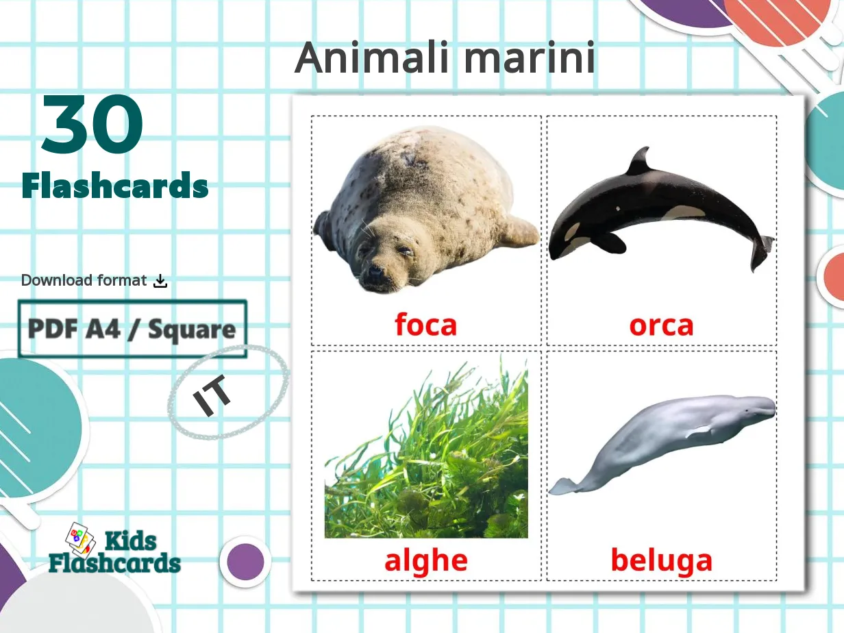 30 Printable Sea animals Flashcards in Italian (Free PDF)
