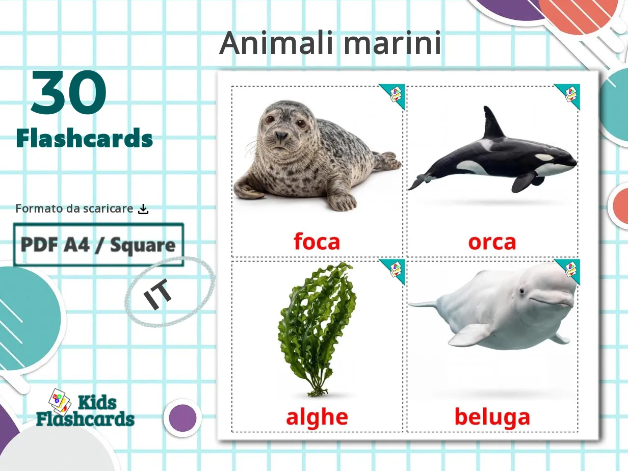 30 Flashcard GRATUITE sui Animali marini in 4 Formati PDF | Immagini in ...
