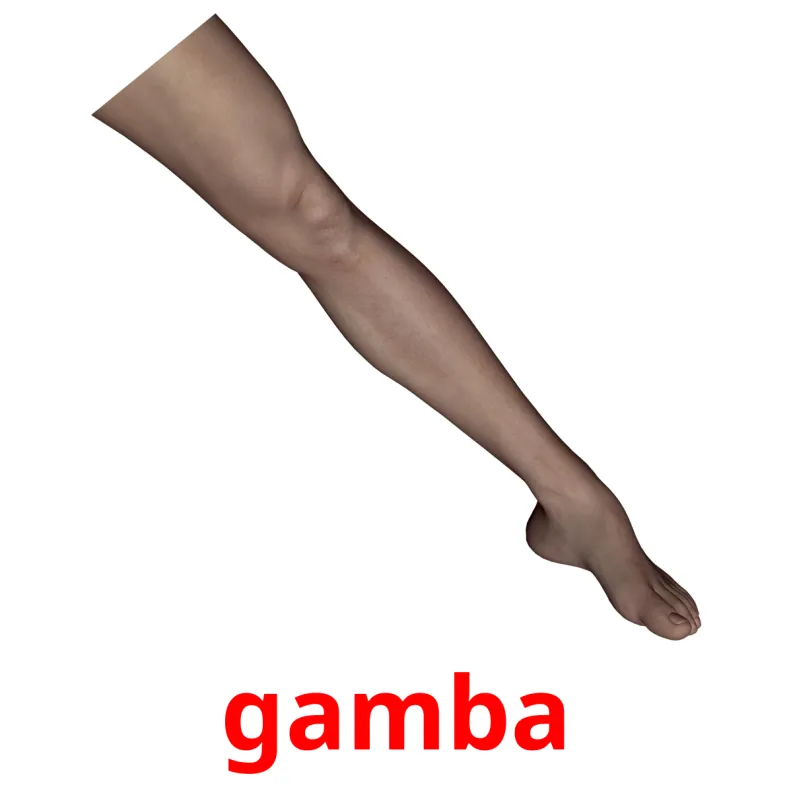 26 Flashcard GRATUITE sui Parti del corpo in 4 Formati PDF | Immagini ...