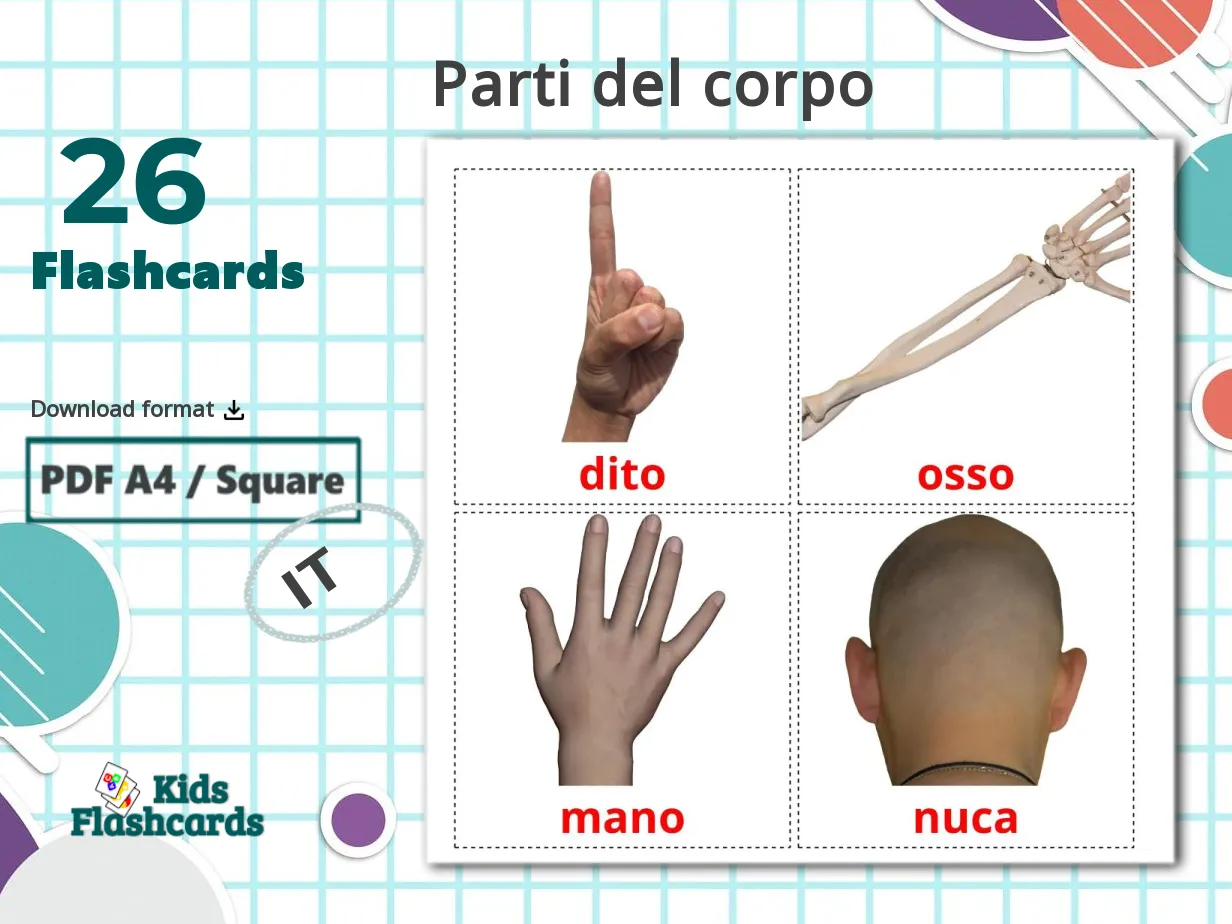26 Printable Body Parts Flashcards in Italian (Free PDF)