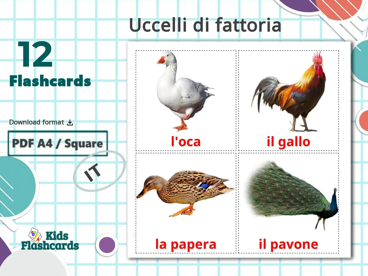 12 Printable Farm birds Flashcards in Italian (Free PDF)