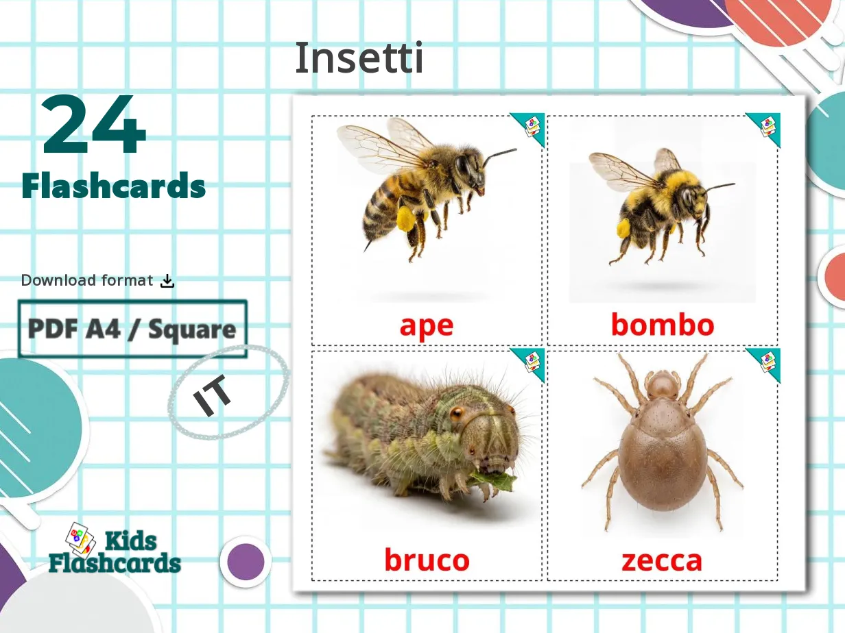 24 Printable Insects Flashcards in Italian (Free PDF)
