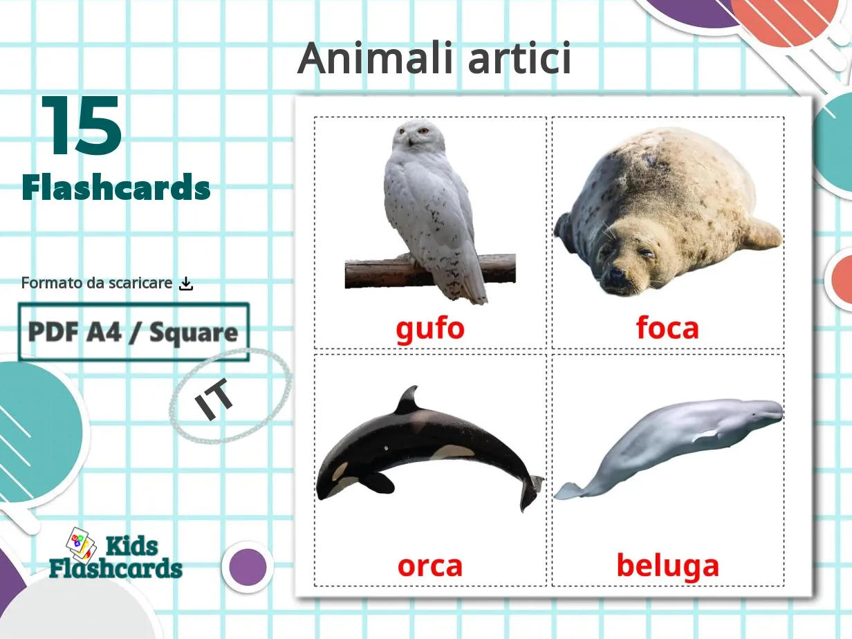 15 Flashcard GRATUITE sui Animali artici in 4 Formati PDF | Immagini in ...