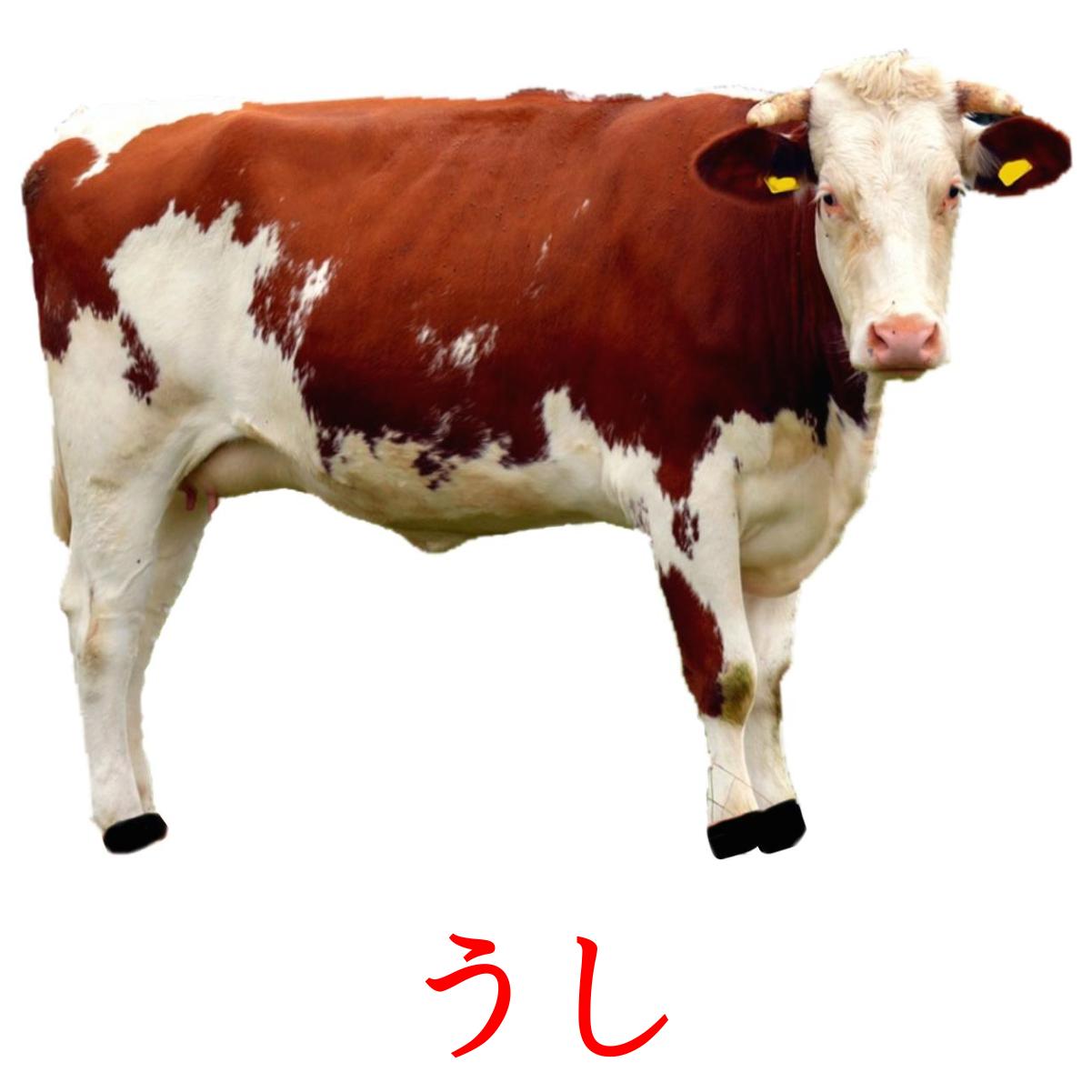 16 Printable Farm animals Flashcards in Japanese (Free PDF)
