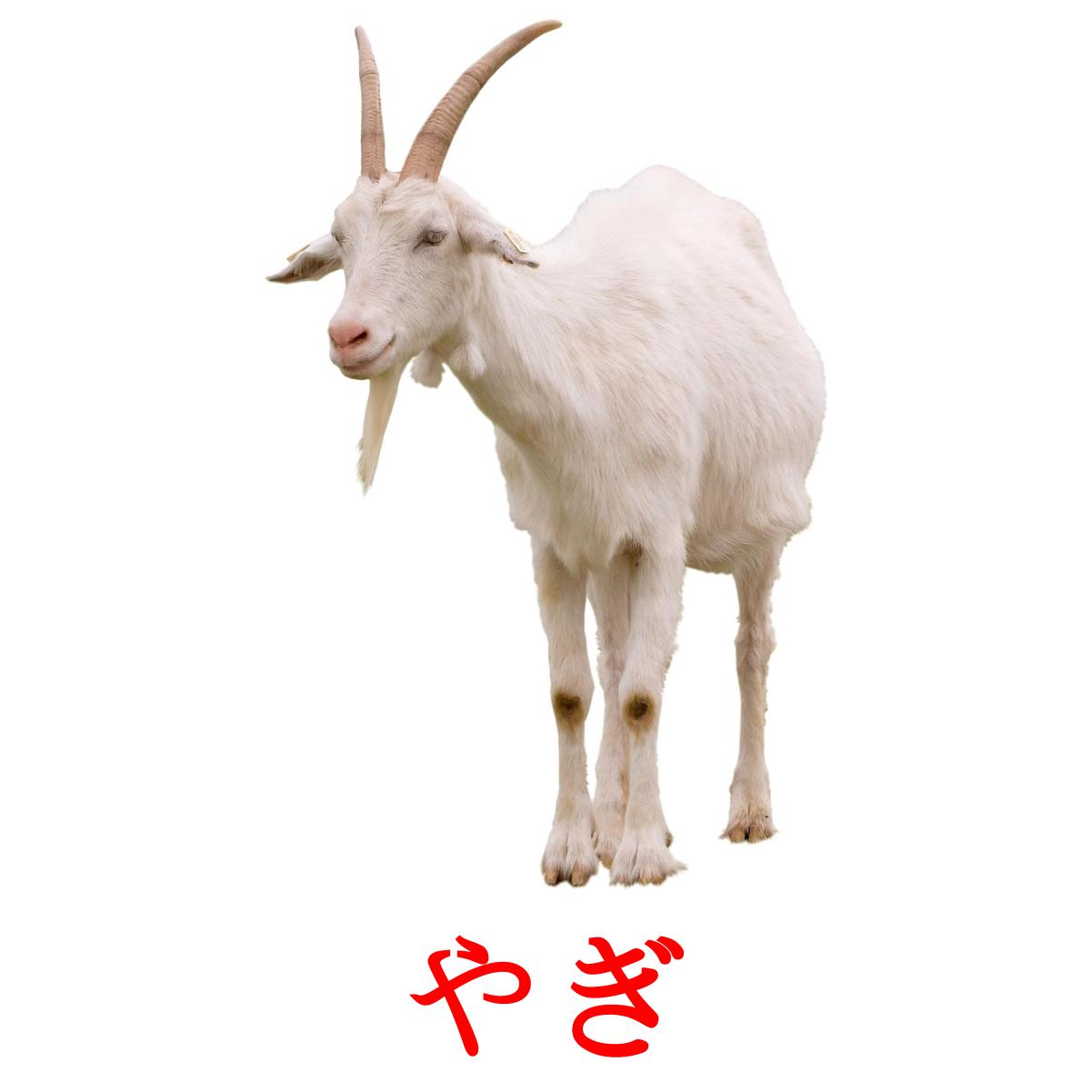 16 Printable Farm animals Flashcards in Japanese (Free PDF)