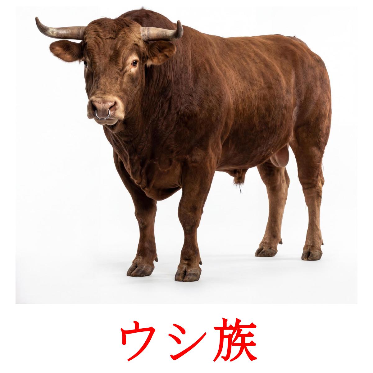 16 Printable Farm animals Flashcards in Japanese (Free PDF)