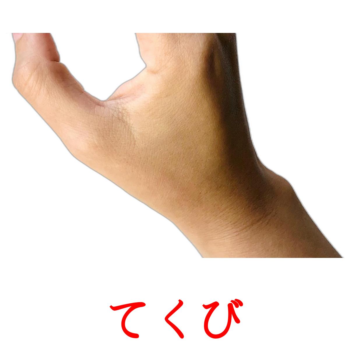 26 Printable Body Parts Flashcards in Japanese (Free PDF)