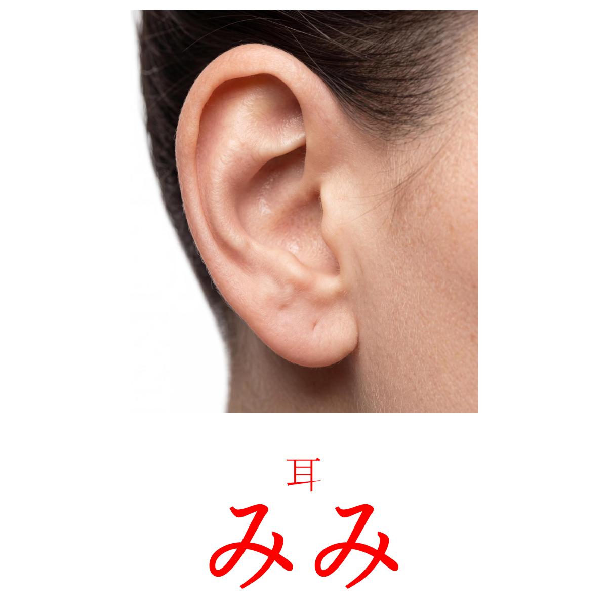 20 Printable Face Flashcards in Japanese (Free PDF)