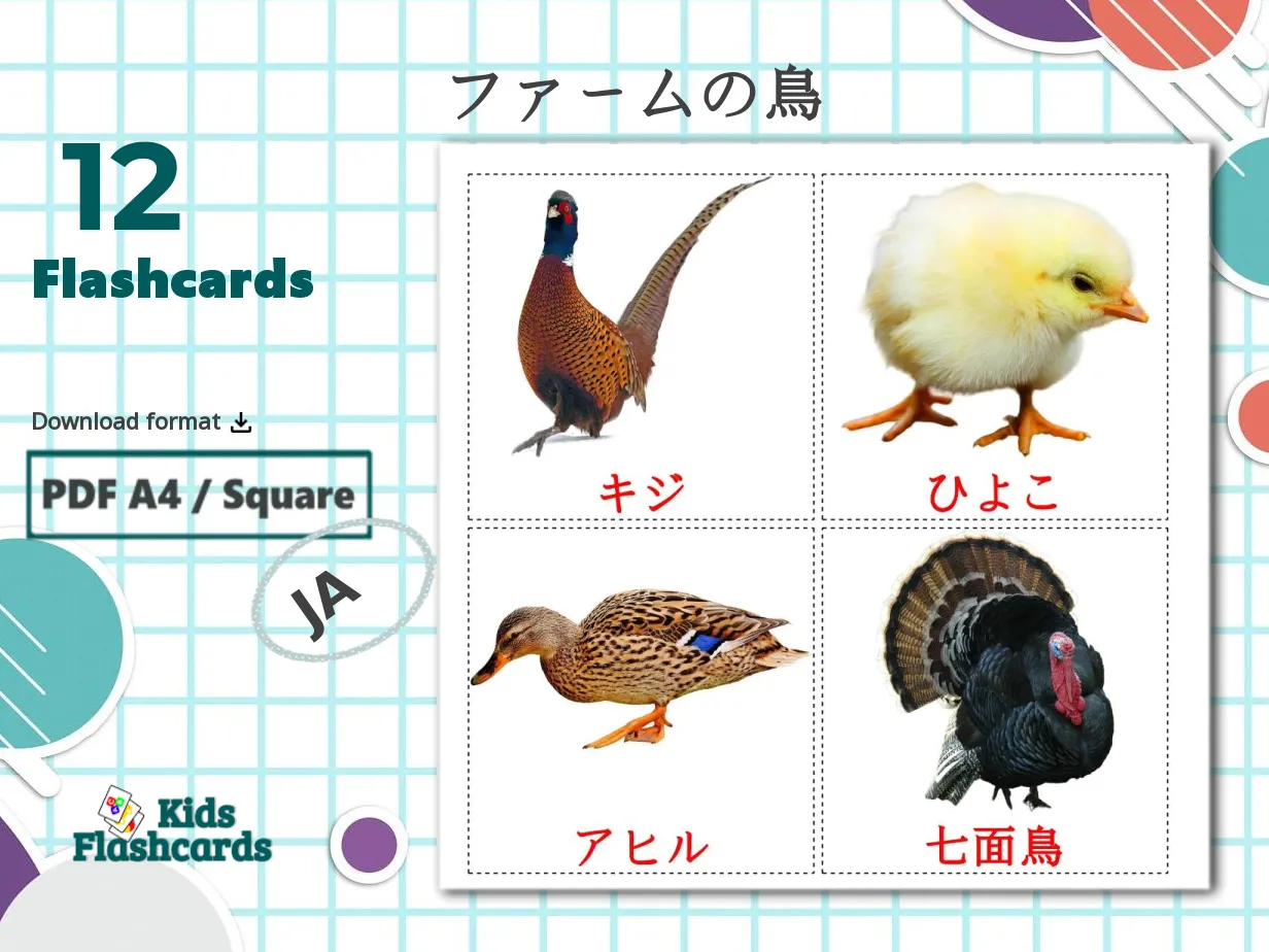 12 Printable Farm birds Flashcards in Japanese (Free PDF)