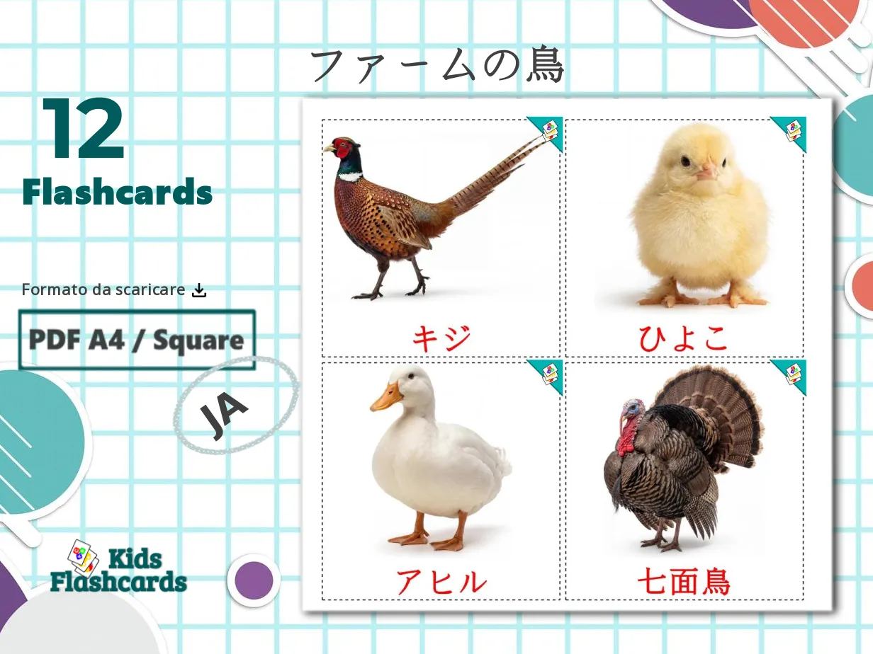 12 Flashcard GRATUITE sui Uccelli di fattoria in 4 Formati PDF ...