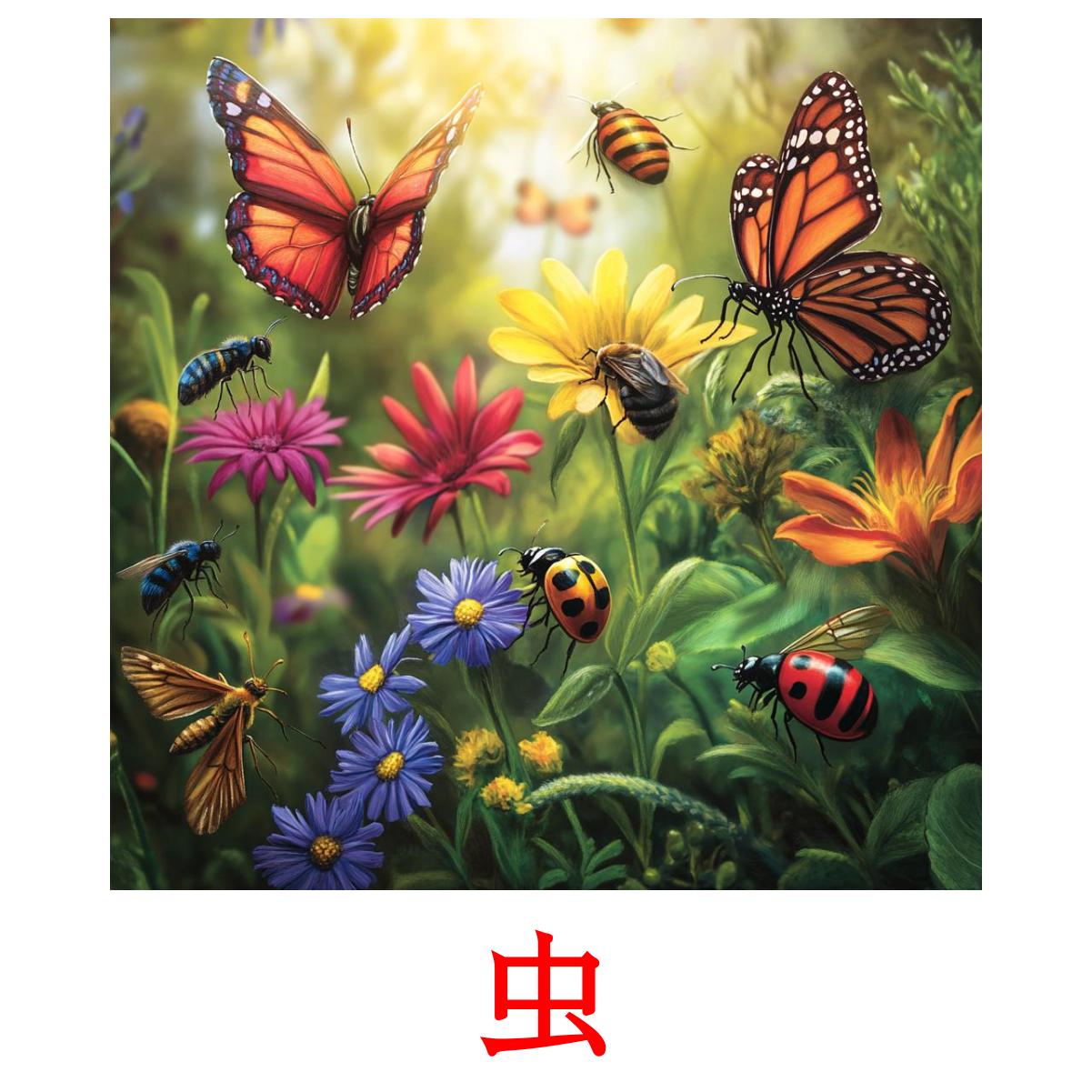 24 Printable Insects Flashcards in Japanese (Free PDF)