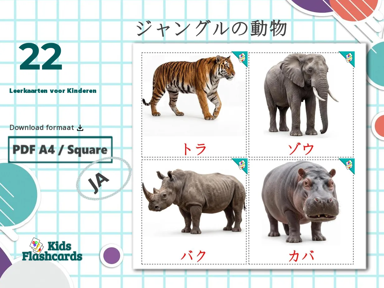 22 GRATIS Jungle dieren Leerkaarten voor Kinderen in 4 PDF formaten ...