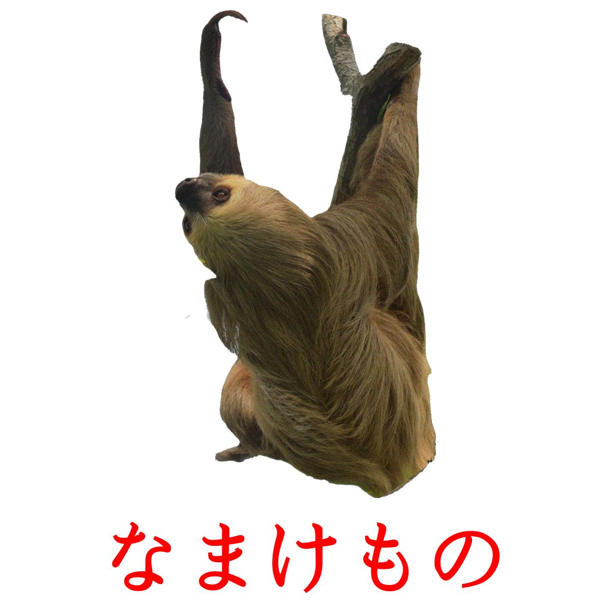 23 Printable Forest animals Flashcards in Japanese (Free PDF)
