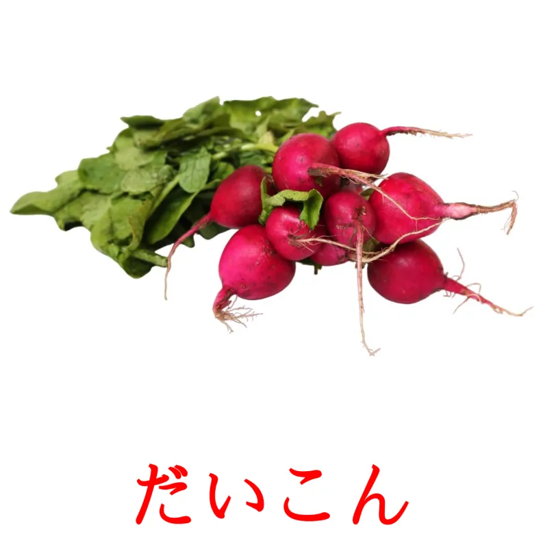 29 FREE Vegetables Flashcards in 4 PDF formats | Japanese Pictures