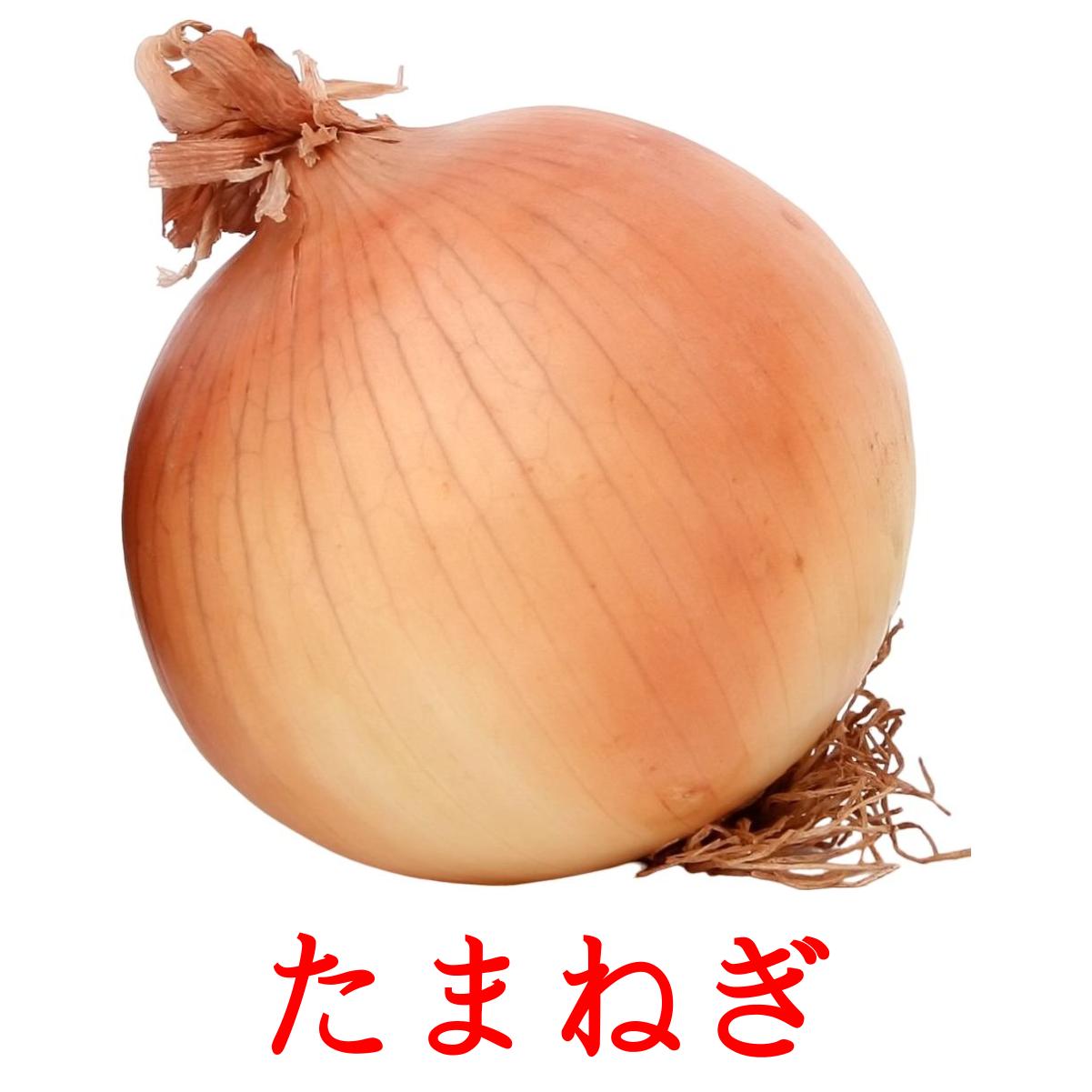 30 Printable Vegetables Flashcards in Japanese (Free PDF)
