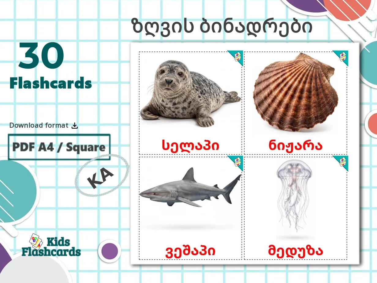 30 Printable Sea animals Flashcards in Georgian (Free PDF)