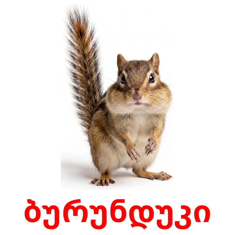 22 FREE Forest animals Flashcards in 4 PDF formats | Georgian Pictures