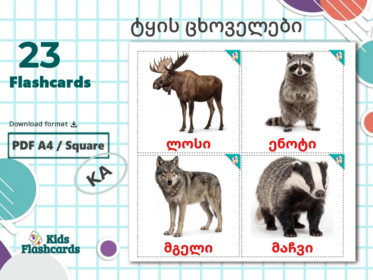 23 Printable Forest animals Flashcards in Georgian (Free PDF)